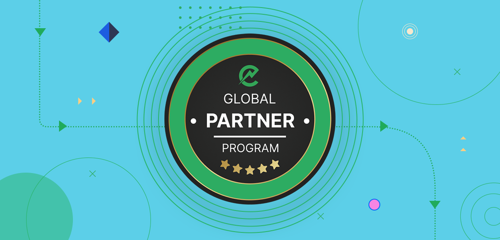 ElectroNeek Global Partnership Program Overview | ElectroNeek